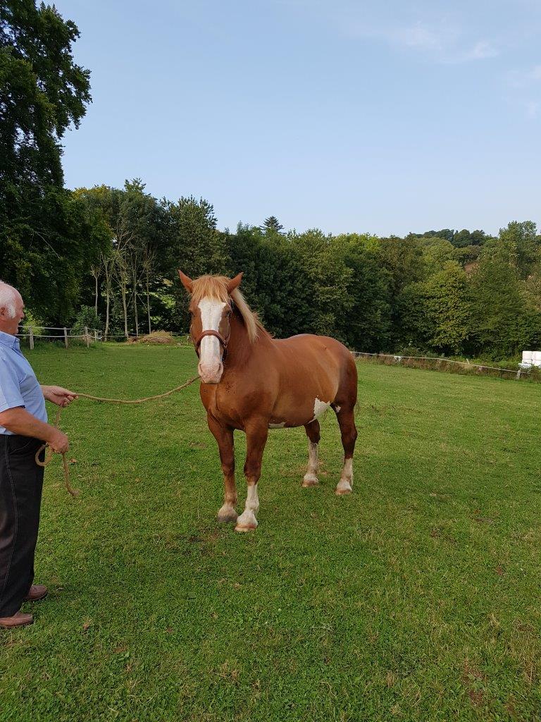 Gallery | www.normandycobs.com