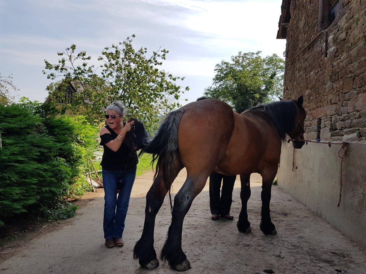 Gallery | www.normandycobs.com