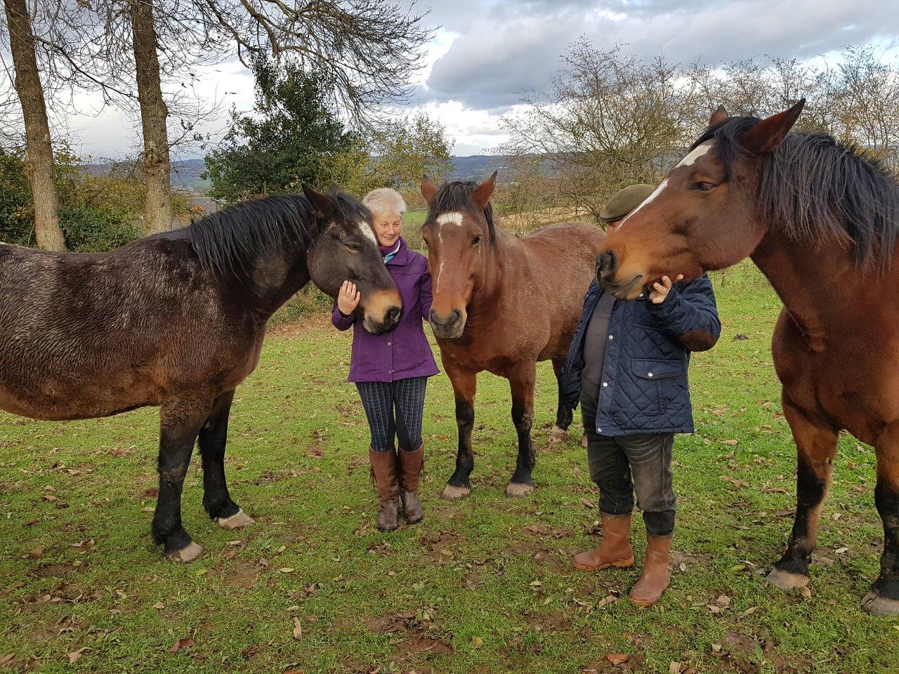 Gallery | www.normandycobs.com