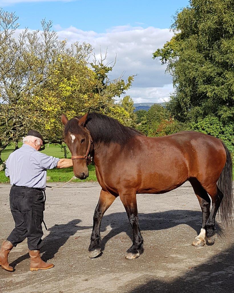 Gallery | www.normandycobs.com