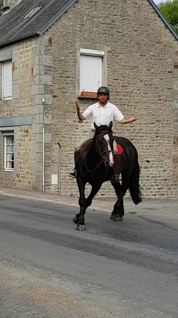 Meet the team | www.normandycobs.com