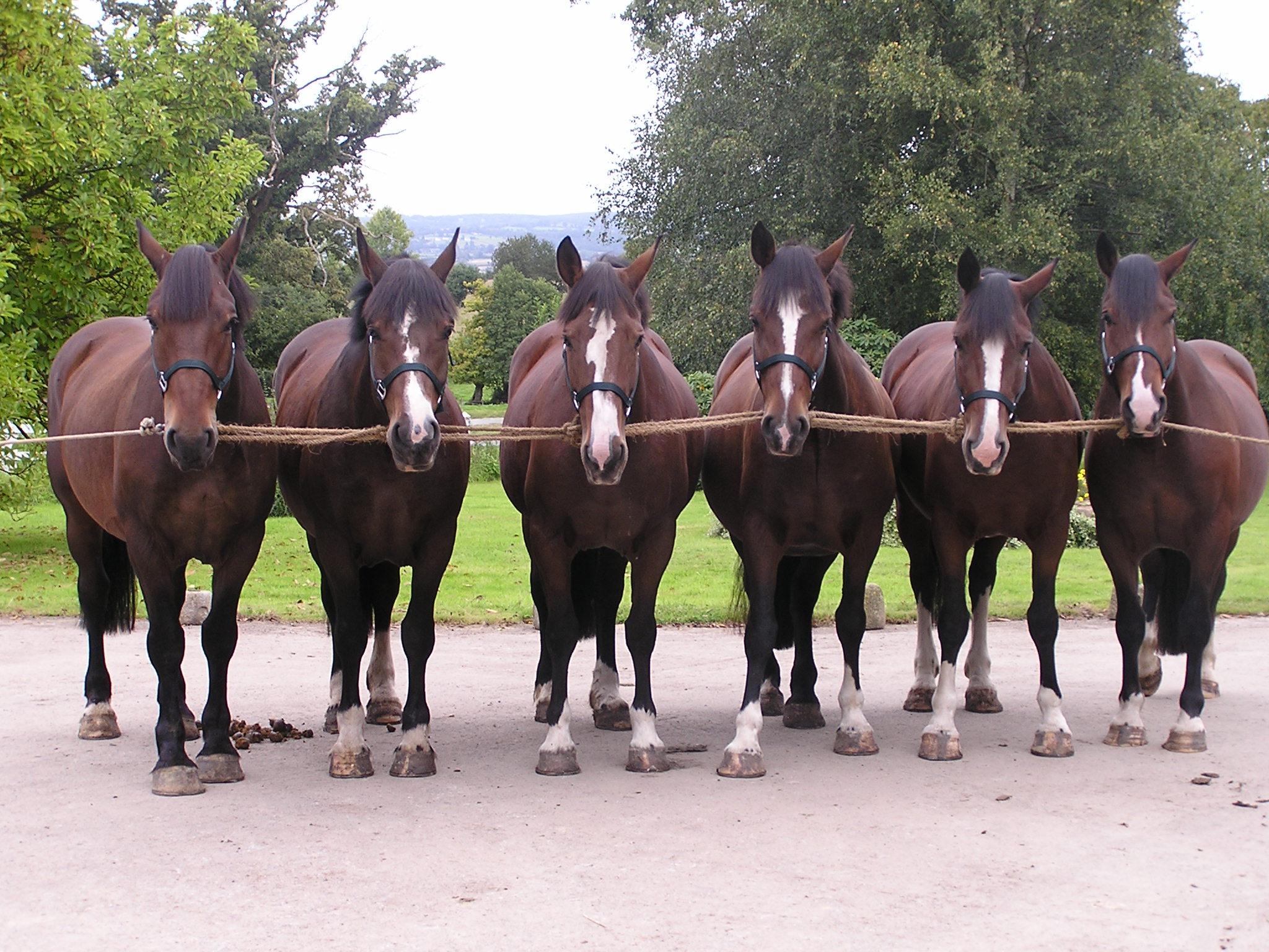 The Costs | www.normandycobs.com